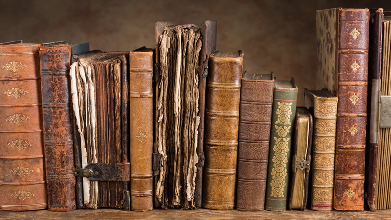 Why Do We Study History The Beekman School